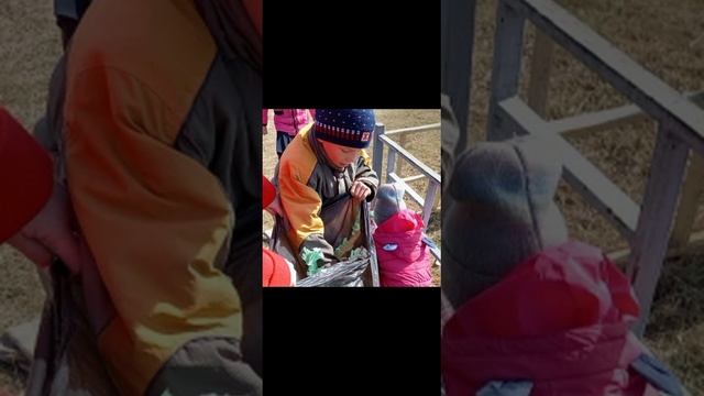 Наша эко-школа