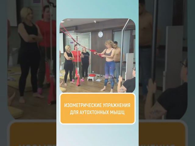 Функциональная терапия: упражнения и методики. Узнайте больше! | МАМР