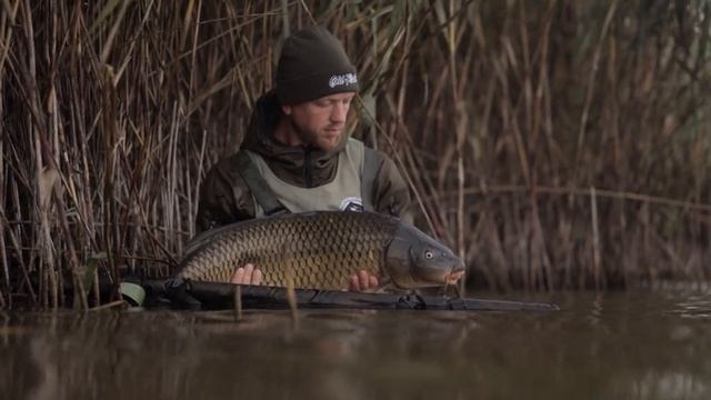 Почему рыбы не замерзают?