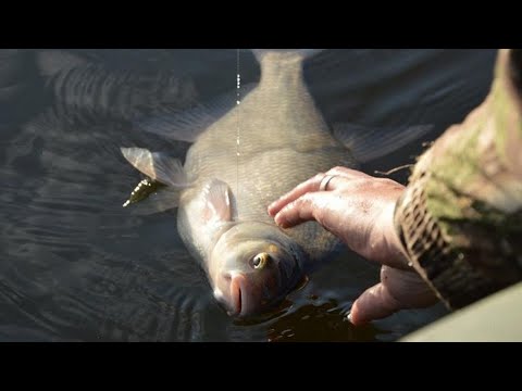 ДЕШЕВЫЕ, СУПЕР ДОБАВКИ ДЛЯ ЛОВЛИ ЛЕЩА, НА ФИДЕР.