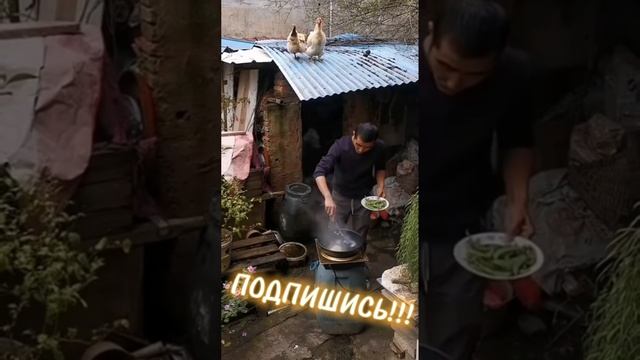 Куриная инженерия.mp4