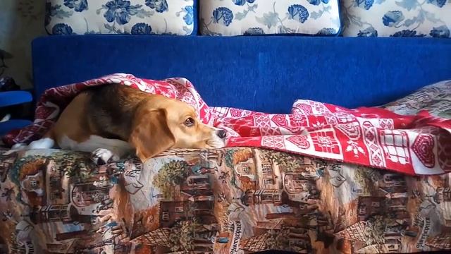 Айка  грустит.