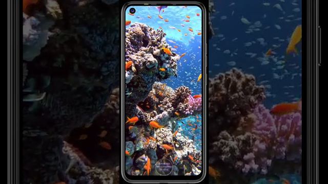 Подводный мир