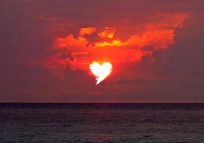 Андрей Шведюк - "Любовь всегда побеждает" (муз.А.Шведюка, сл.И.Скибиной)