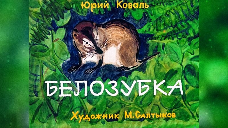 Диафильм (звуковой) "Белозубка" (1982)