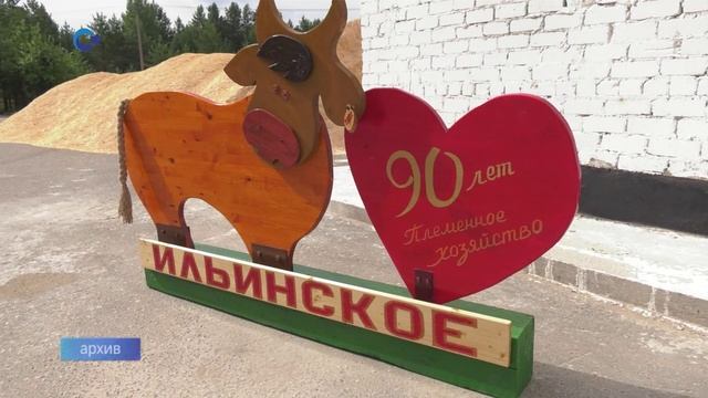 В Племсовхозе «Ильинский» сохранили рабочие места за мобилизованными сотрудниками