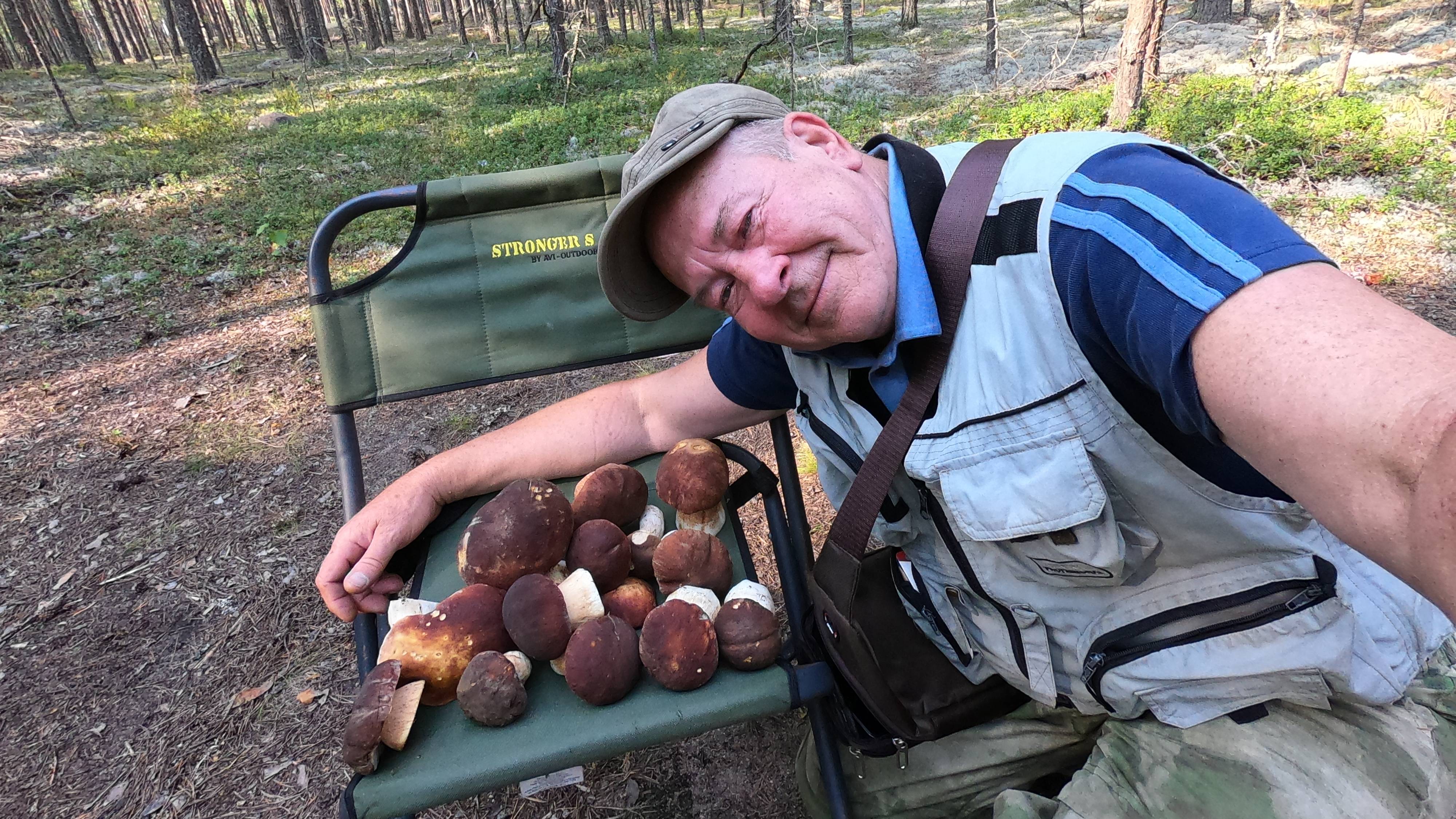 По дороге домой заехал в лес часик погулять. В лесу красота и грибов отличных нашёл. Пос. Климово.