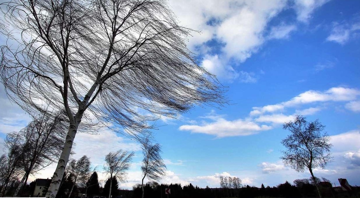 Ты преклоняешься, как будто перед Богом.  Автор текста Наталья Лищук. Стихи.
