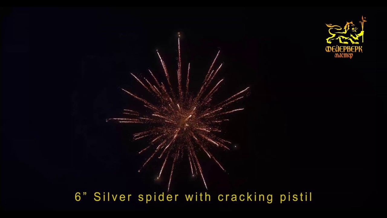 6” Silver spider with cracking pistil