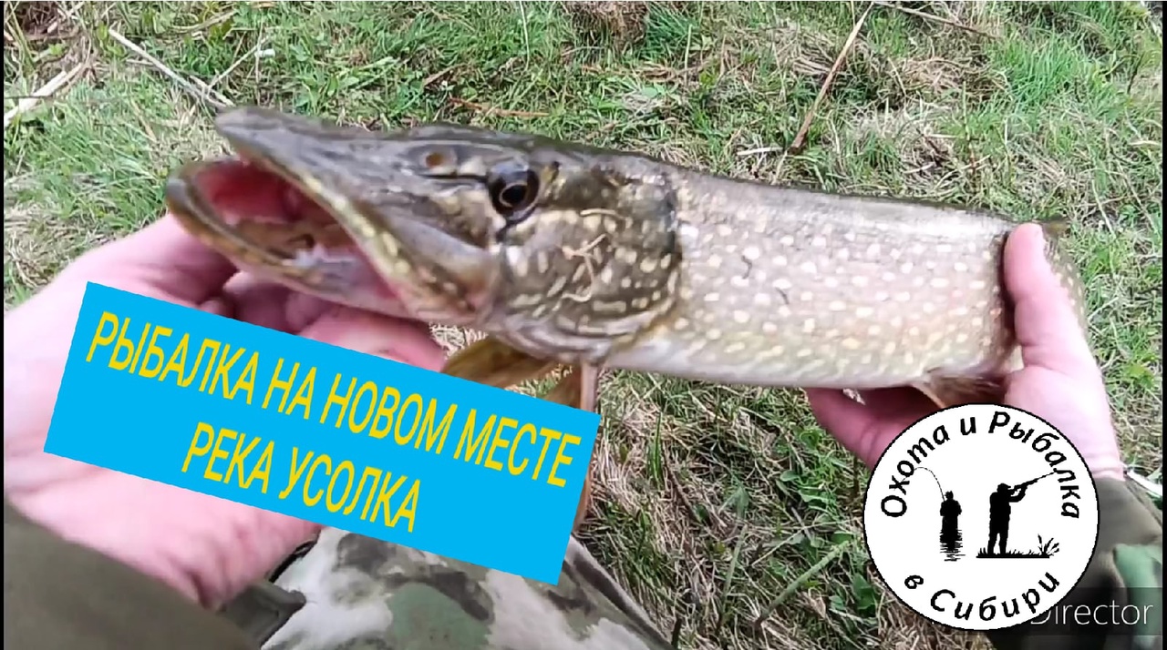 Рыбалка на новом месте! Озеро рядом с. Усолка Дзержинского района Краснодарского края