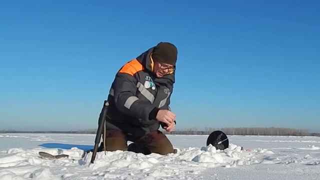 Первый налим после нереста