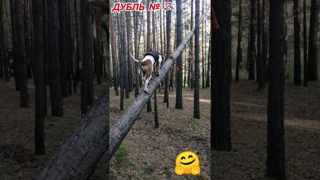 Боязнь высоты №2