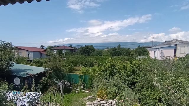 Гумиста. Абхазия. Доброе утро.