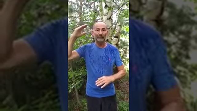 Практики по набору энергии от деревьев. Береза.mp4