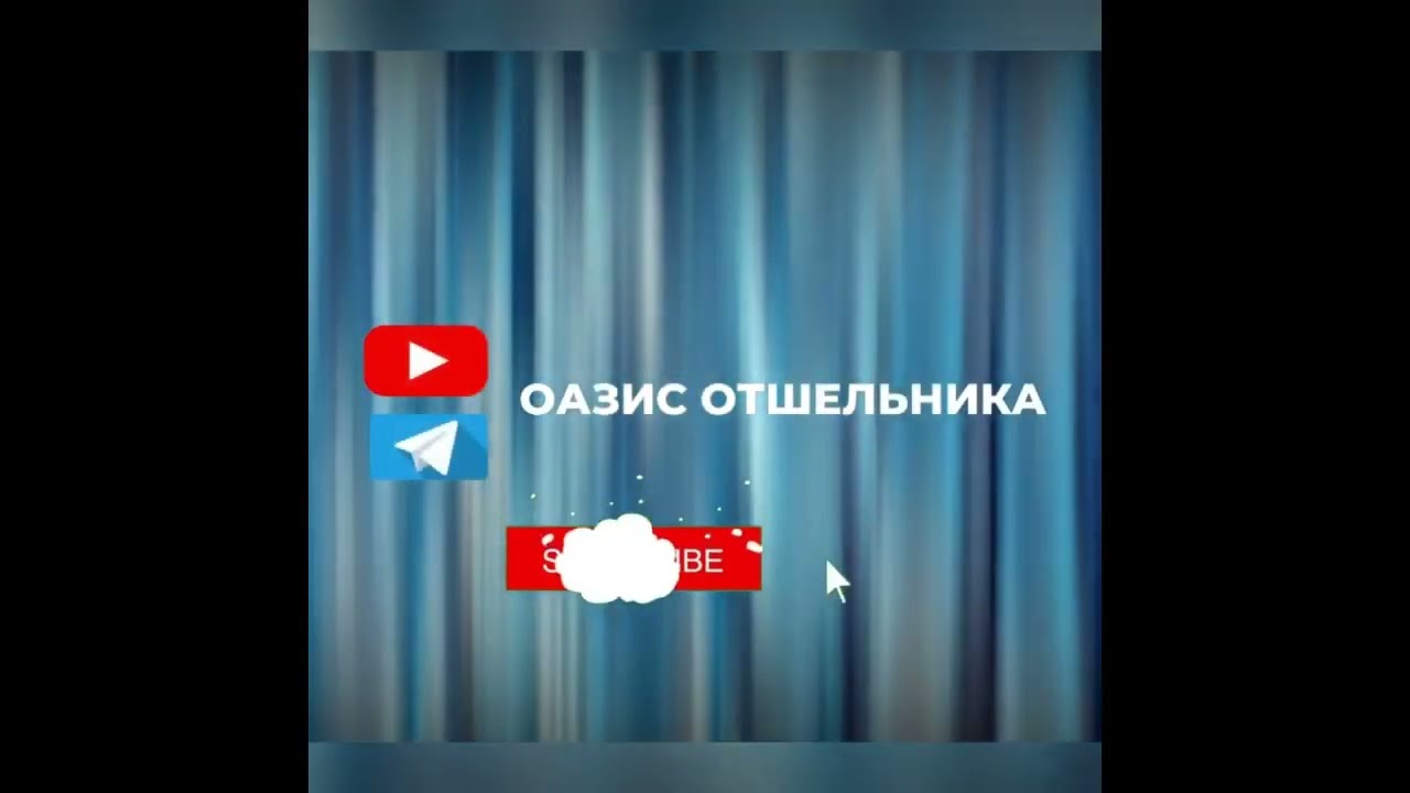 01.03.2022. Пусть тебе поможет Небо. Видео-зарисовка послания ОАЗИС ОТШЕЛЬНИКА
