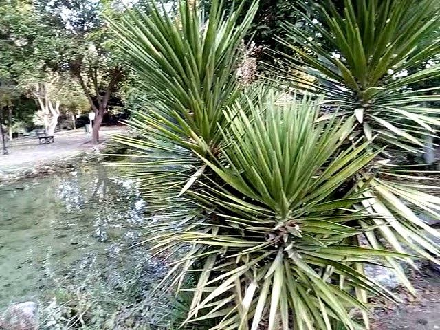 Райский уголок Анталии.