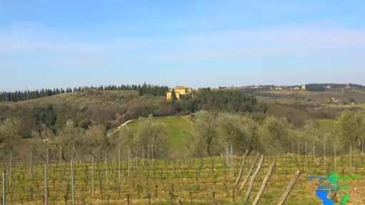 Италия Тоскана вино- Правильная дегустация вин Кьянти (Chianti) и десертное вино Пассито (Passito)