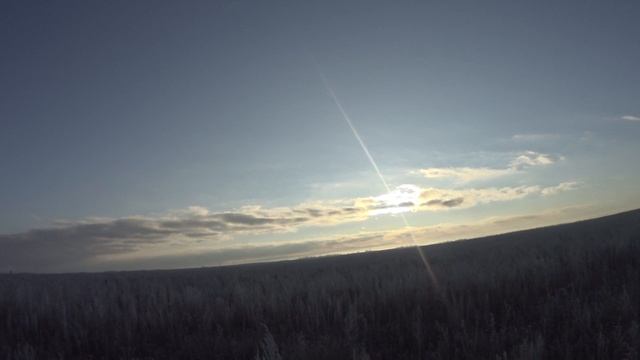 Охота на куропаток во время охоты на зайца :)