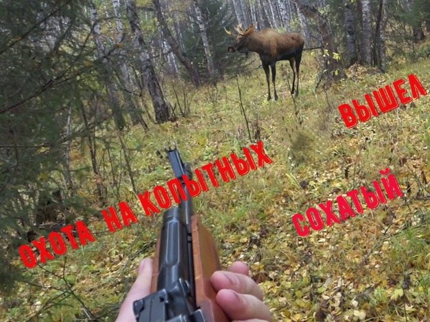 Охота на копытных в тайге ч2 Лось вылетел прямо на меня.Moose hunting сame right out at me