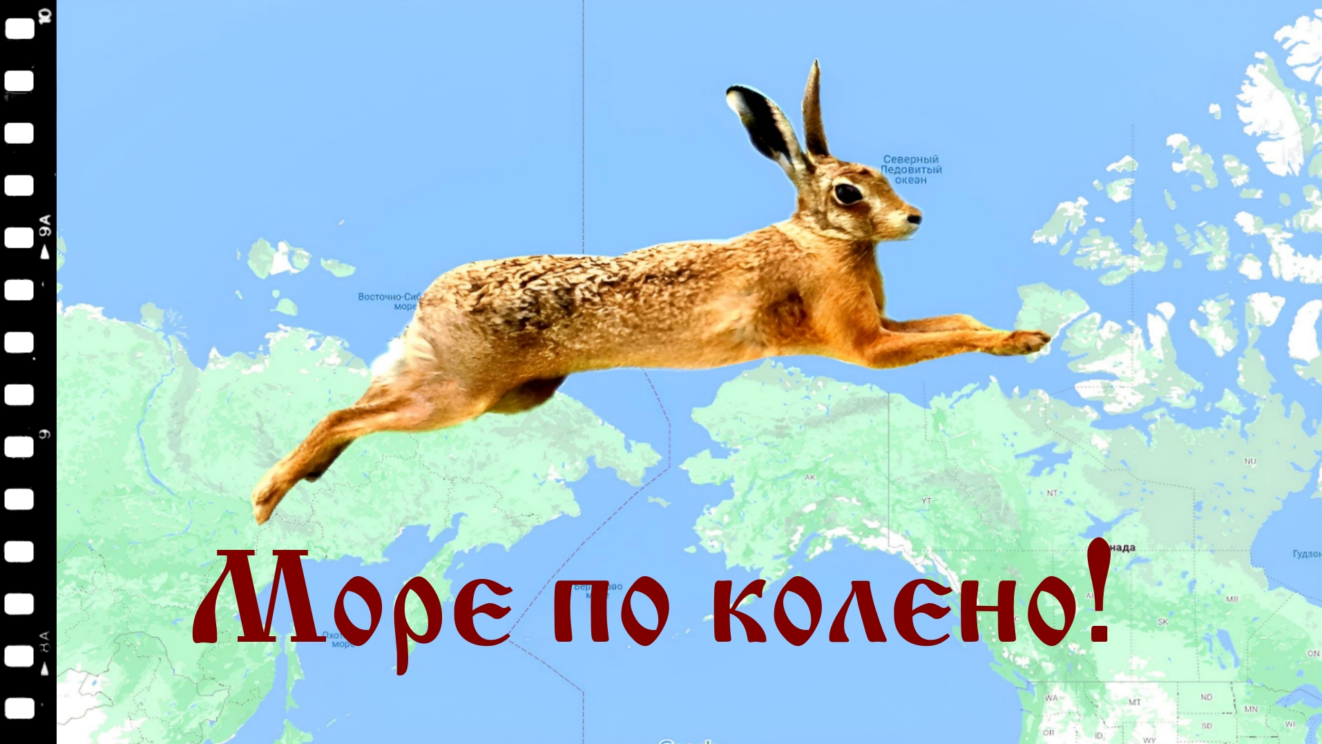 Заяц - свидетель потопа