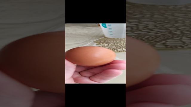 Наше первое яйцо от курочек