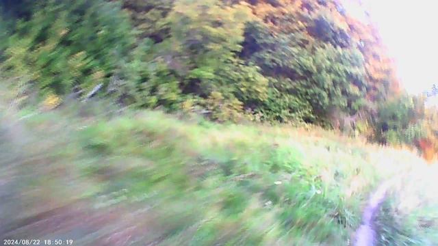 катаемся на мотоциклах