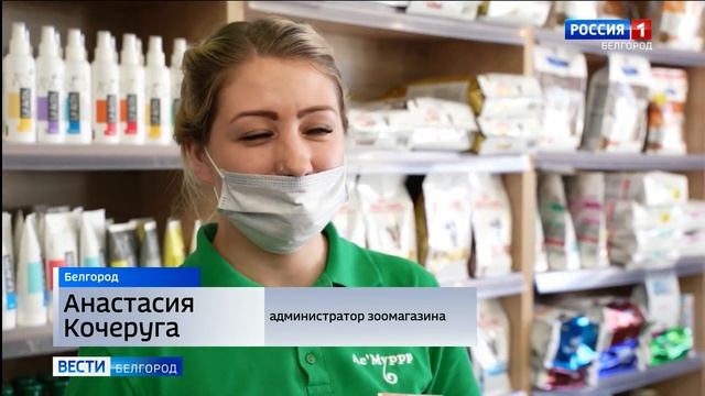 В Белгородской области подорожали корма для животных.mp4