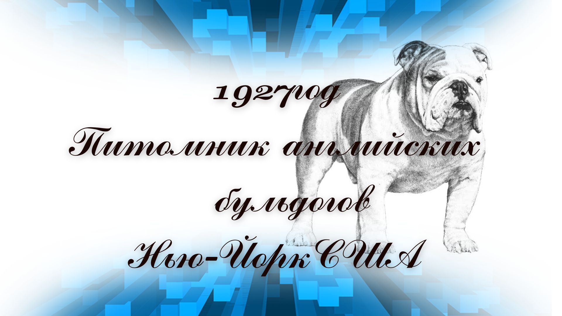 1927 Питомник английских бульдогов,США