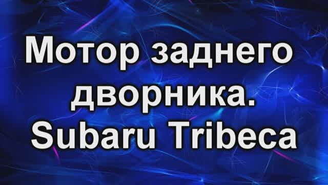 трибека дворник.