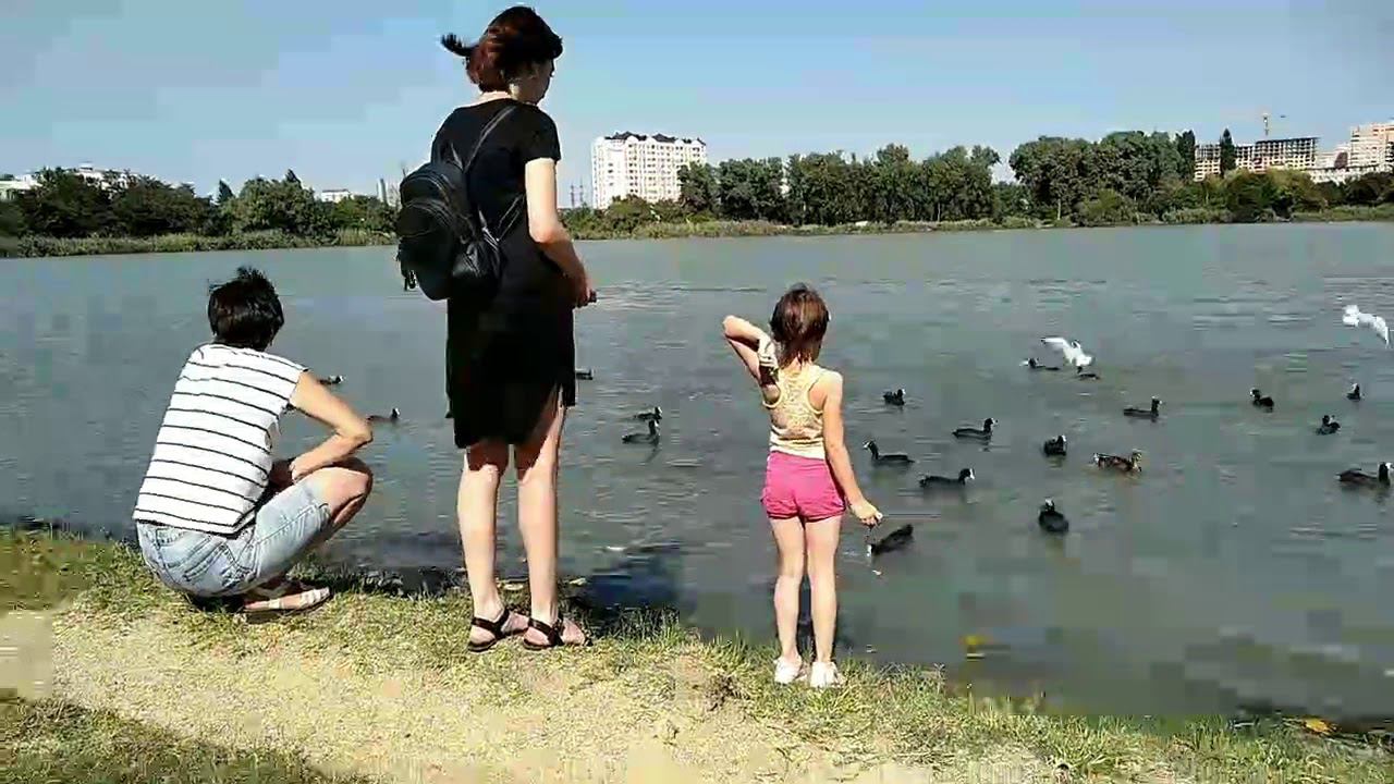 Парк Солнечный Остров