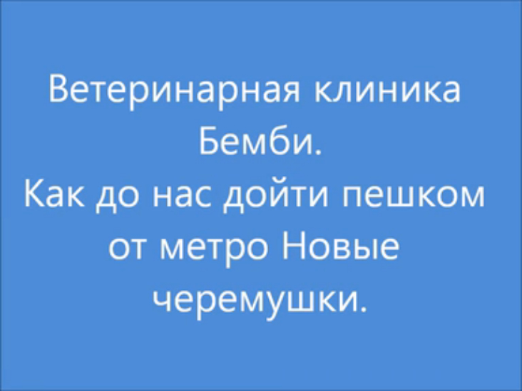 Как дойти до ветклиники Бемби пешком.