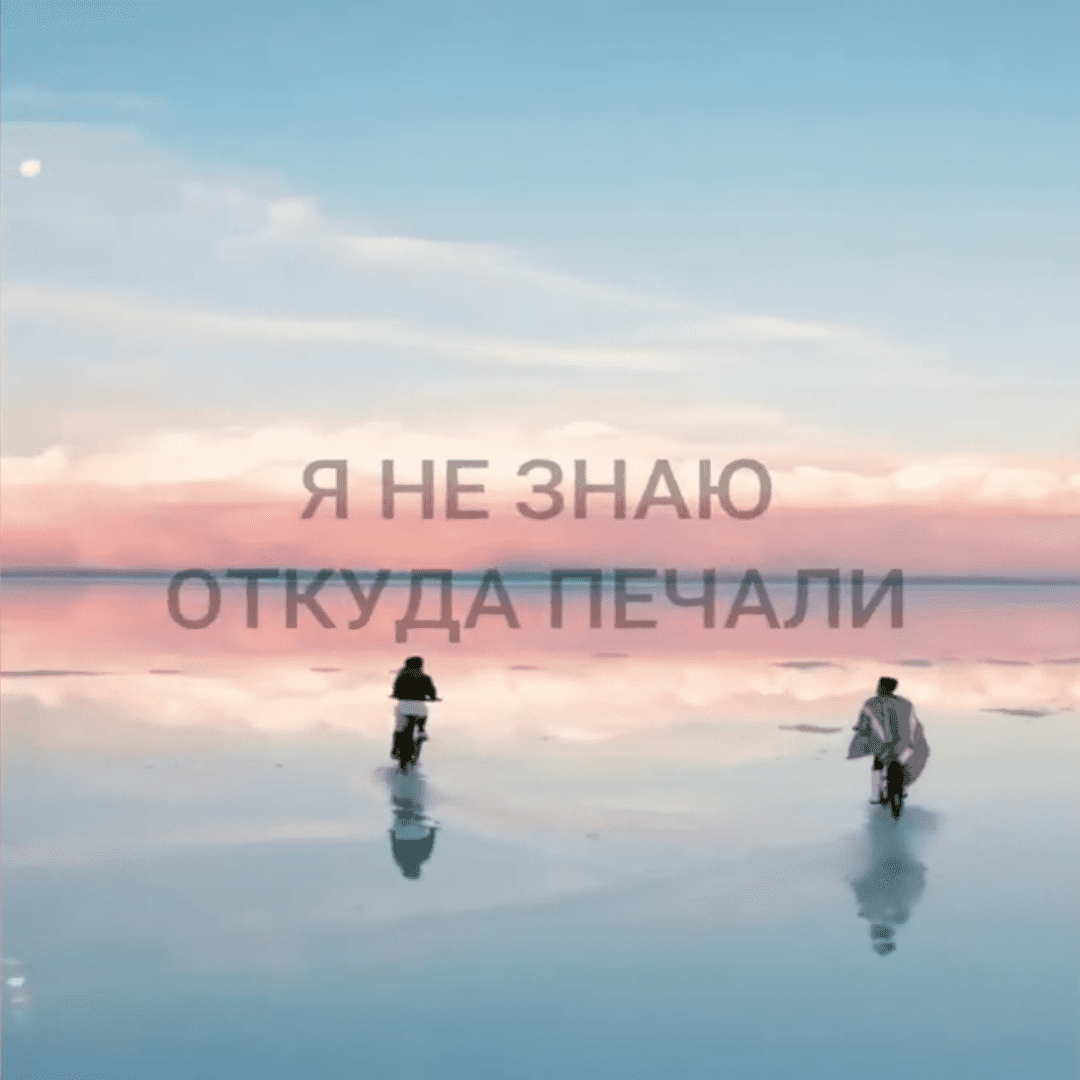 СТИХ-МОТИВАЦИЯ : "Я не знаю откуда печали начинают извилистый путь"