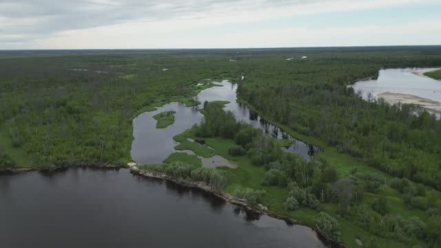 Рыбалка на щуку и язя