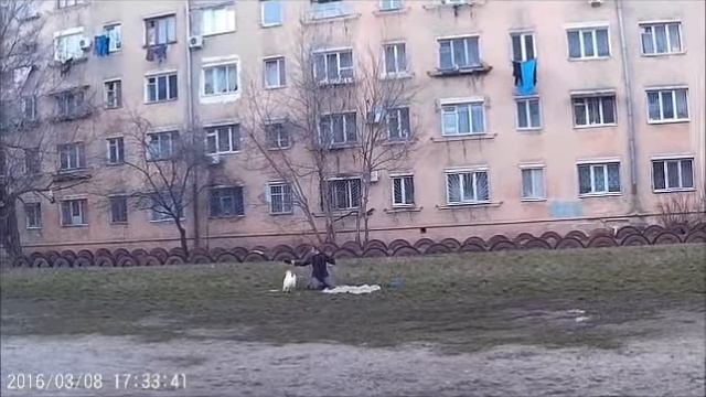 Фризби Фристайл 2016  Оксана и Фларри.webm