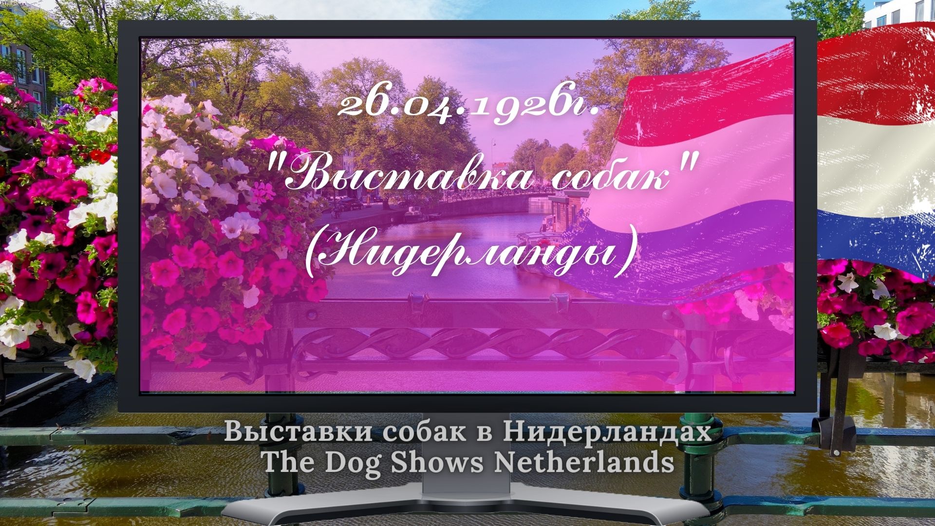 26.04.1926г. Выставка собак (Нидерланды)