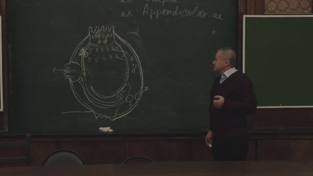 2. Оболочники. Зоология позвоночных - Корзун Л. П. Teach-in.