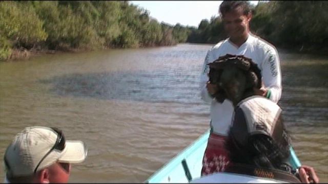 Lens: Лос-Льянос/Los Lianos, ч. 2, Венесуэла