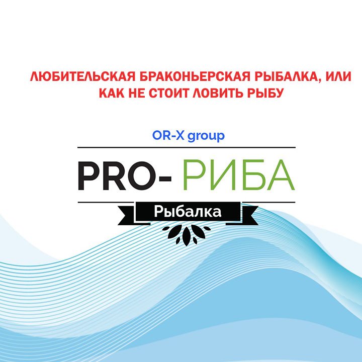 Pro-Риба | любительская браконьерская рыбалка, или как не стоит ловить рыбу #Рыбалка