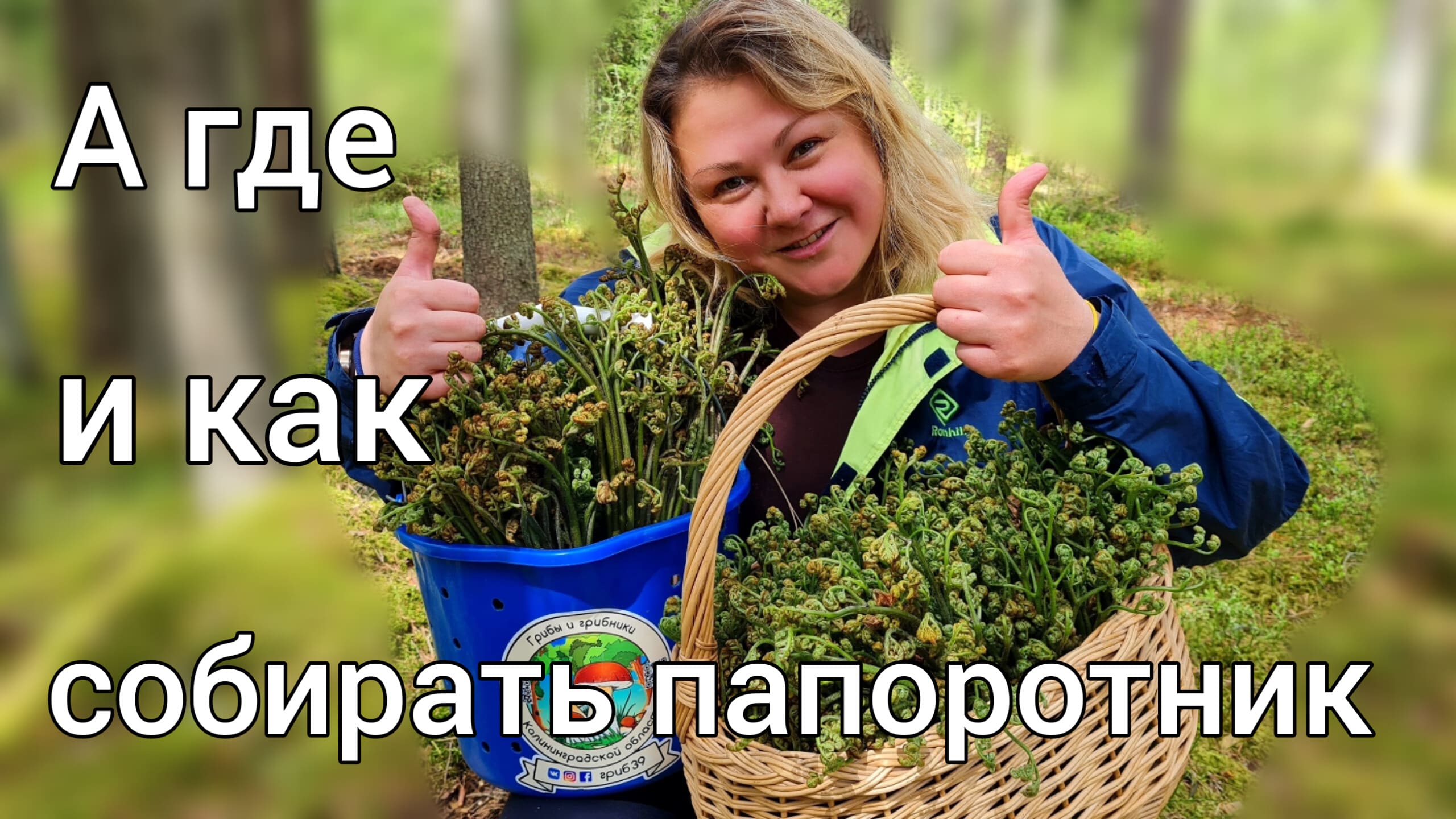 А ГДЕ И КАК СОБИРАТЬ ПАПОРОТНИК? ДАВАЙТЕ РАССКАЖЕМ