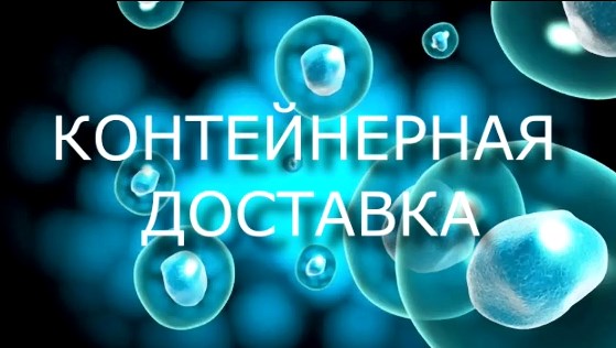 ПА Солдатенков о контейнерной доставке