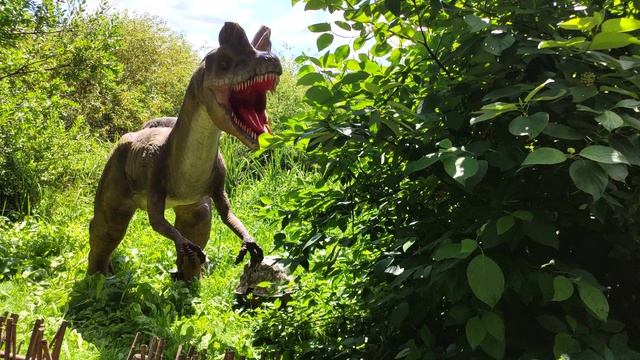 Синий трактор и настоящие динозавры.mp4
