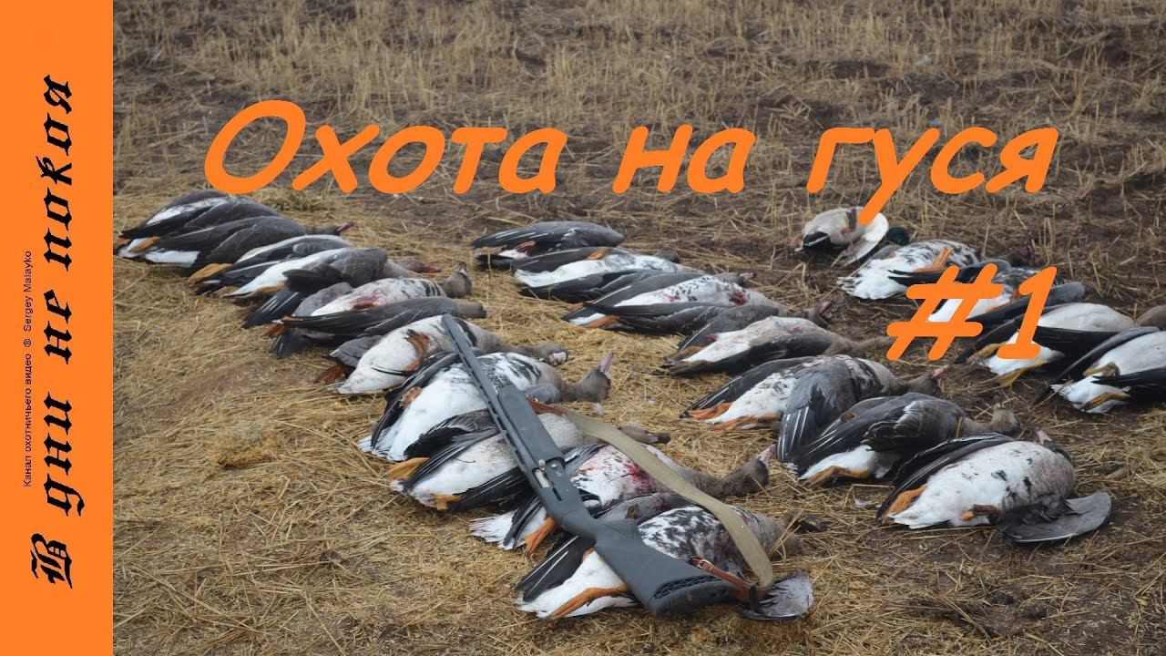 Охота на гуся. #1 18+
