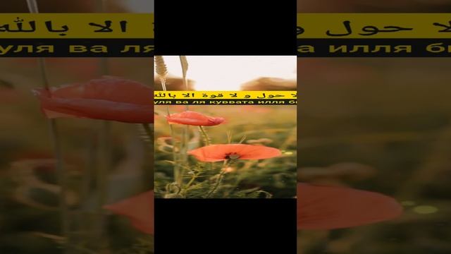 Пророк Мухаммад ﷺ сказал: поистине, это сокровище из сокровещниц Рая.