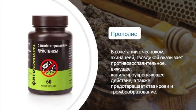 Фитокомплекс с антибактериальным действием «Витаспектр XL»