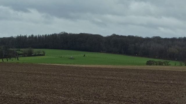 Поездка в Германию.март 2023