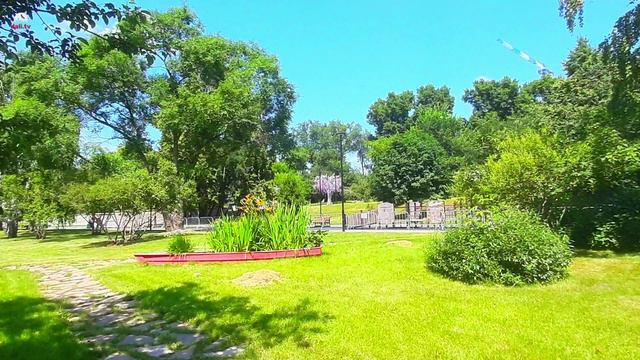 Михайловская набережная. Новосибирск. 14.07.24.