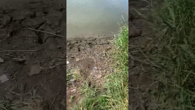 рыбалка 6 сентября дгк х Лебеди