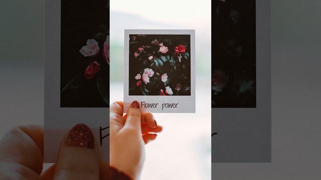 КАК НАУЧИТЬСЯ ФОТОГРАФИРОВАТЬ КРАСИВО