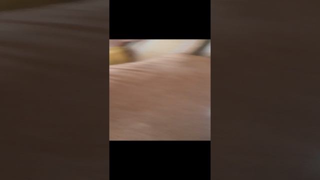 Бертуся и Бэтти дома отдыхают...