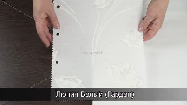 Люпин Белый (Гарден)